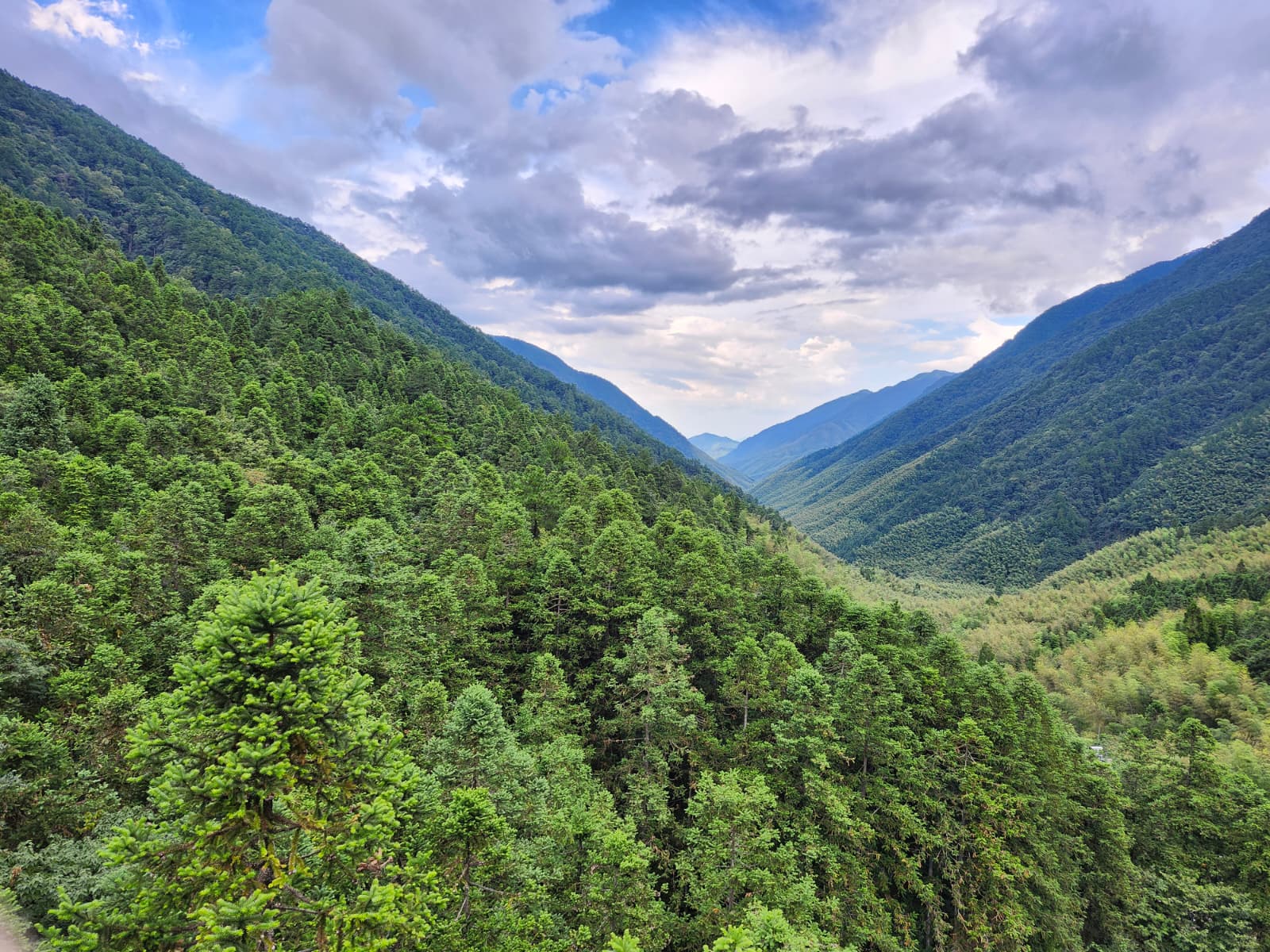 Ecological Scientific Research and Study Activities in Jiangxi Wuyishan ...